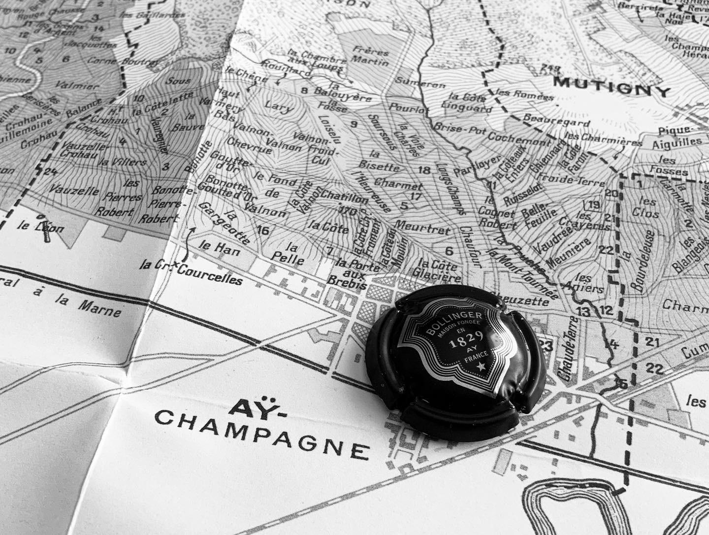 What are single-parcel or single-vineyard Champagnes? - Champagne Club Site